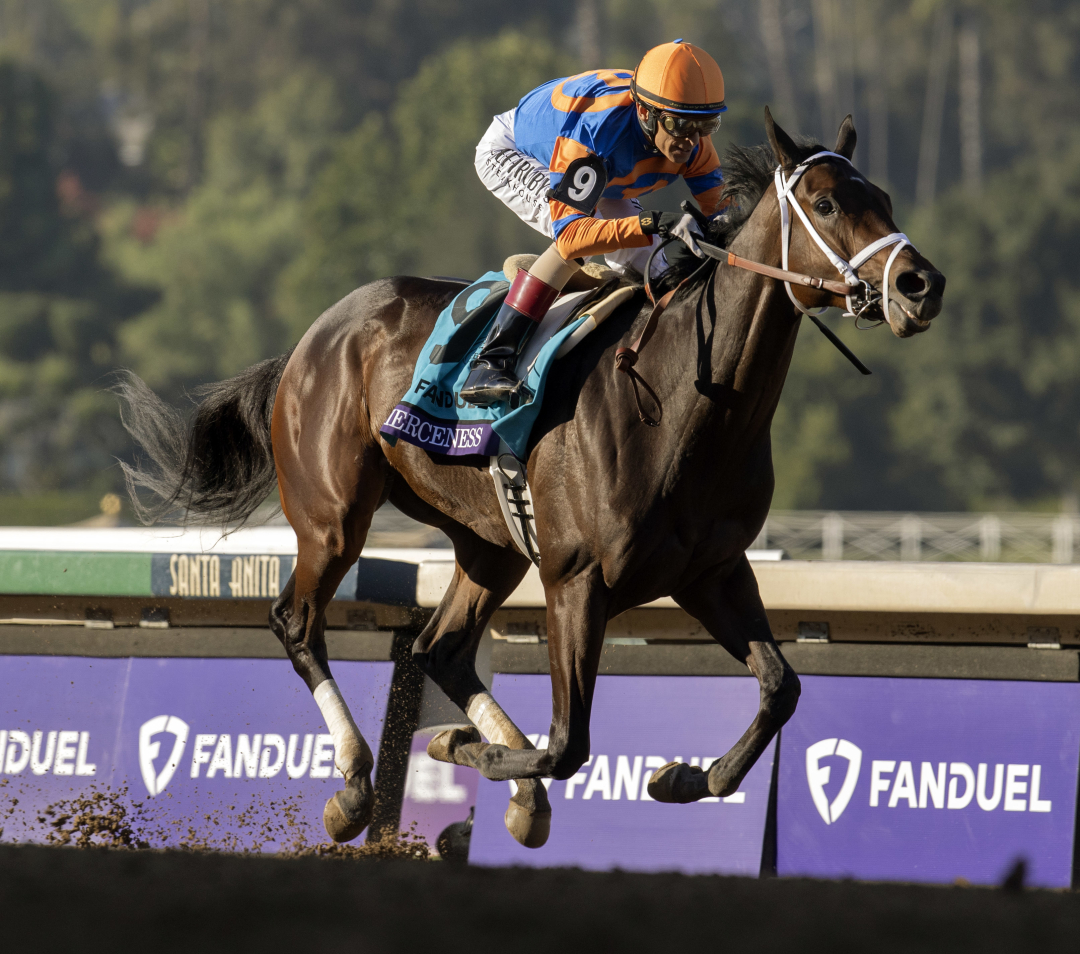Field, Fierceness open as top choices in Kentucky Derby future wager pool