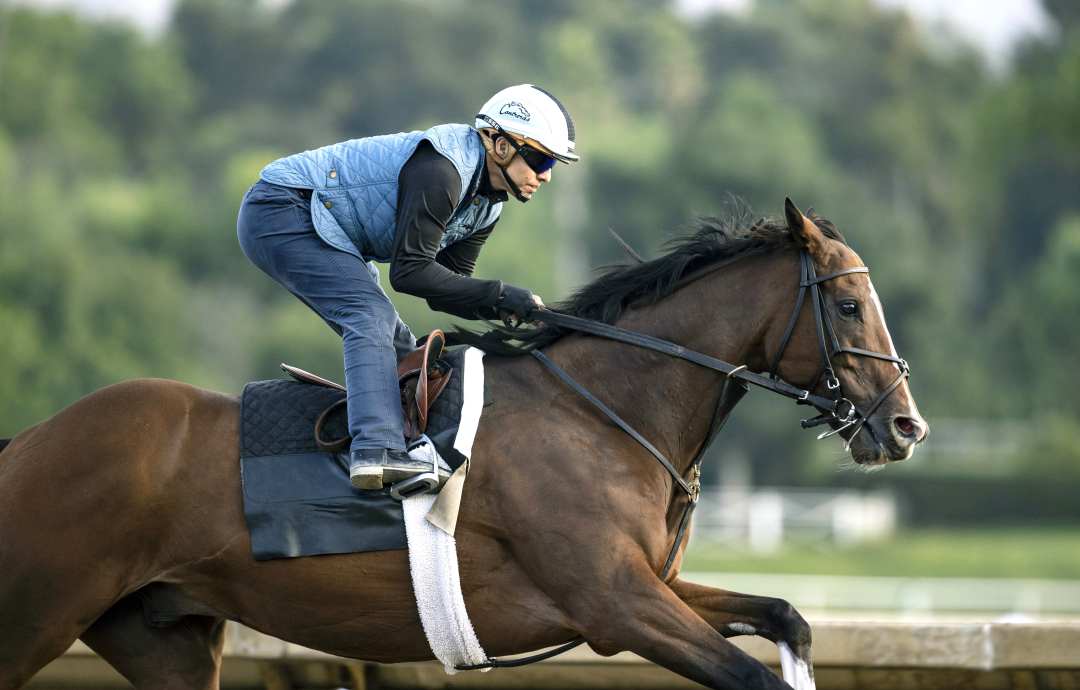 Lane Way, Daniel's Magic will have to hurry in five-furlong Stormy Liberal