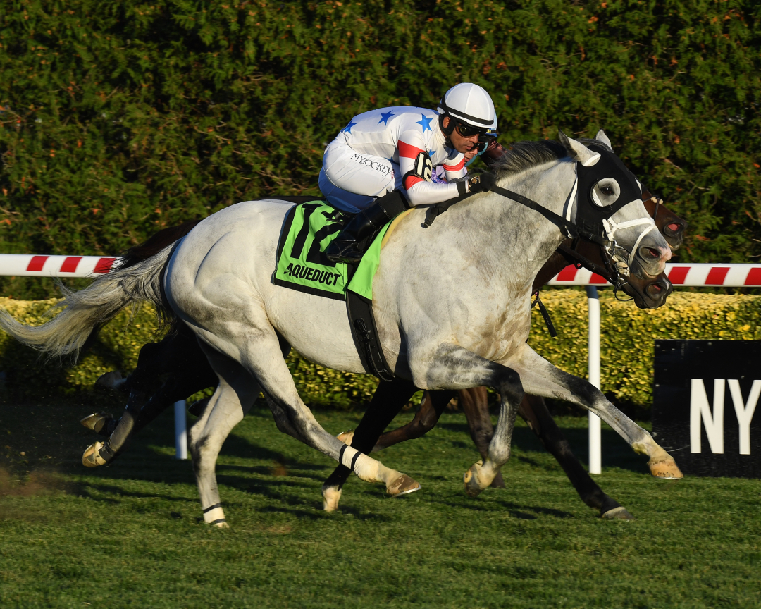 Master Piece continues Dutrow success with Red Smith win