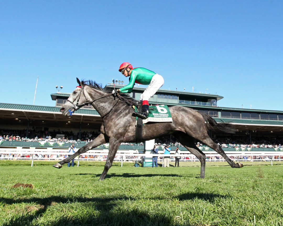 Romagna Mia has recency edge over Miss Yearwood in Via Borghese Stakes