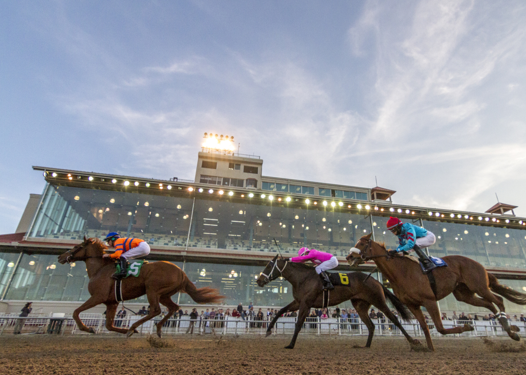 Oeuvre triumphs in Nelson Menard; Ova Charged rolls in Bob Wright
