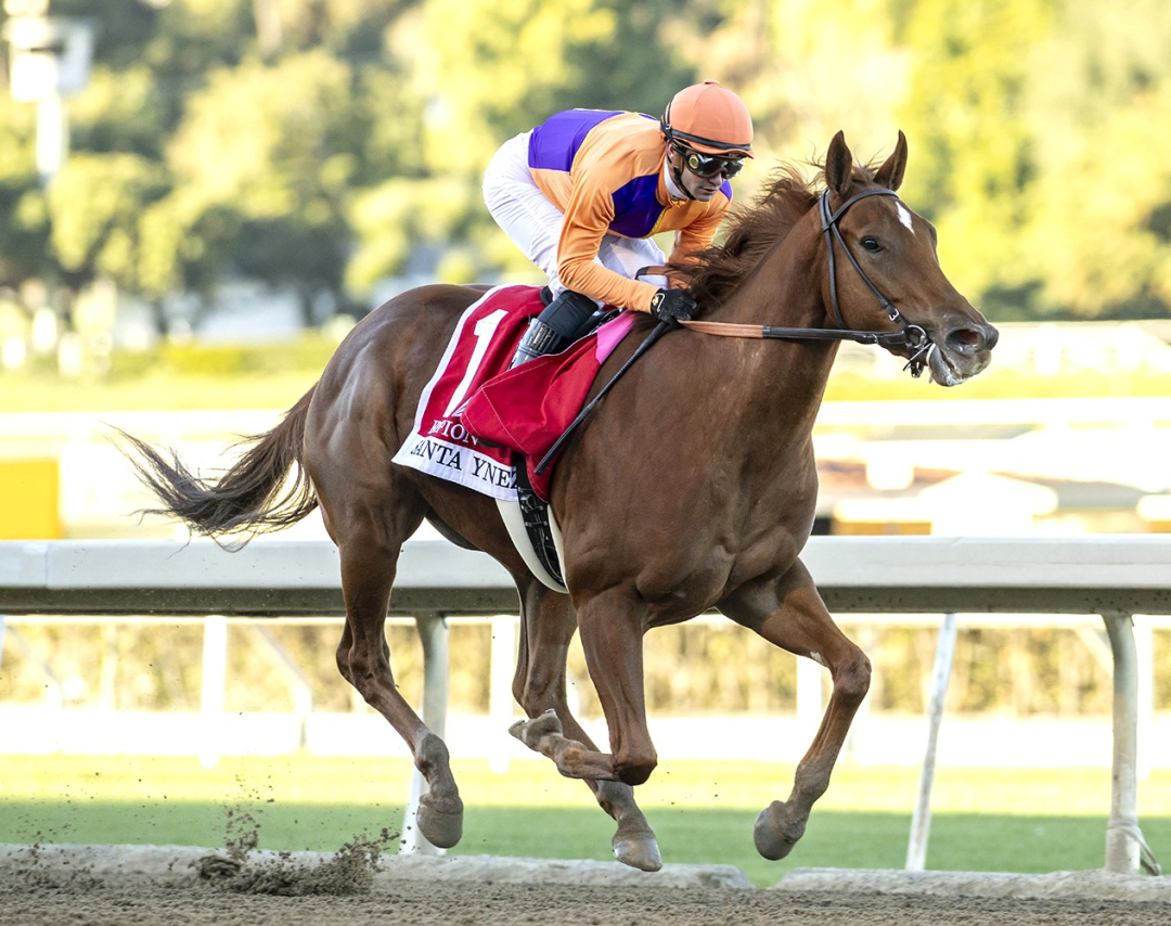 Kinza owns the big Beyer but Kopion far from a pushover in Las Virgenes