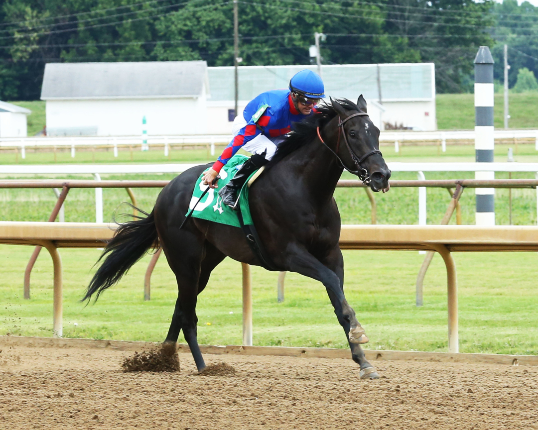 Lothenbach racehorse digital dispersal totals more than $4 million