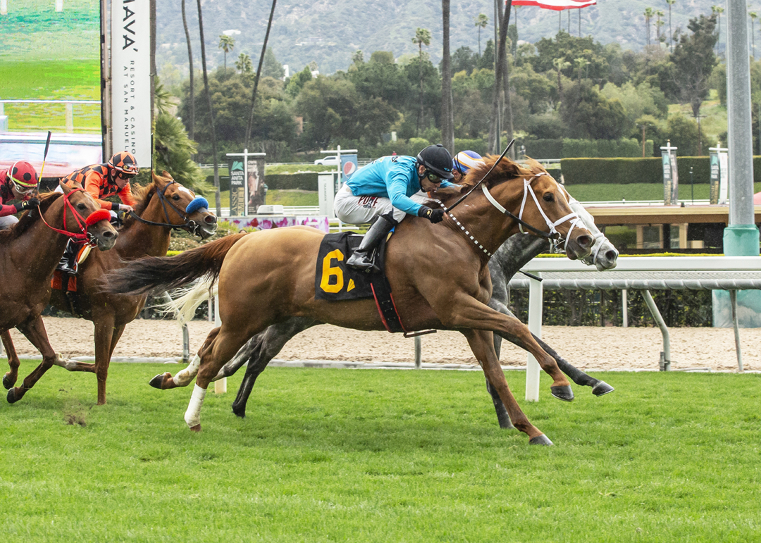 Johnny Podres's rally pays off with Sensational Star triumph