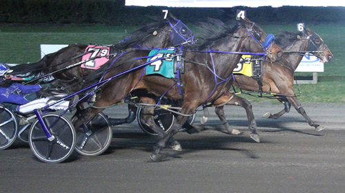 Meadowlands: Todd McCarthy posts Friday night four-bagger
