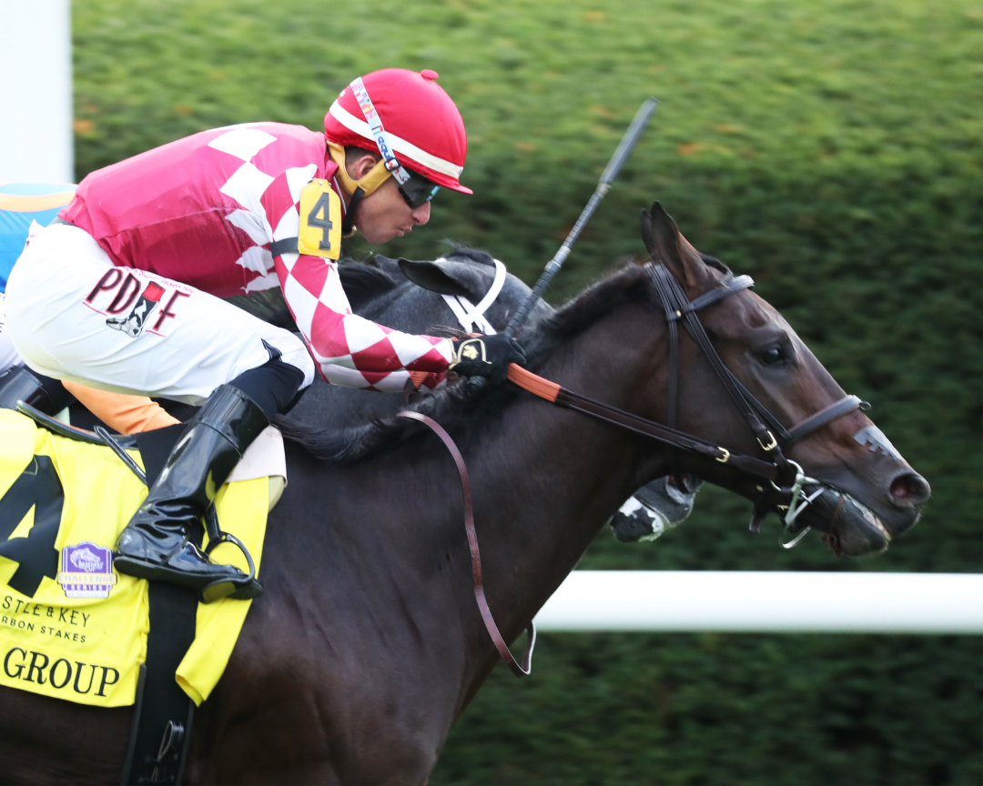 Can Group back on turf for Transylvania