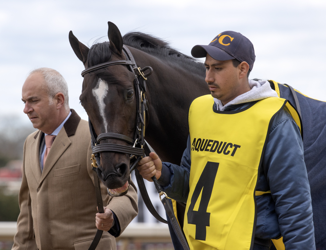Kentucky Derby: Grand Mo the First joins field after Deterministic ...