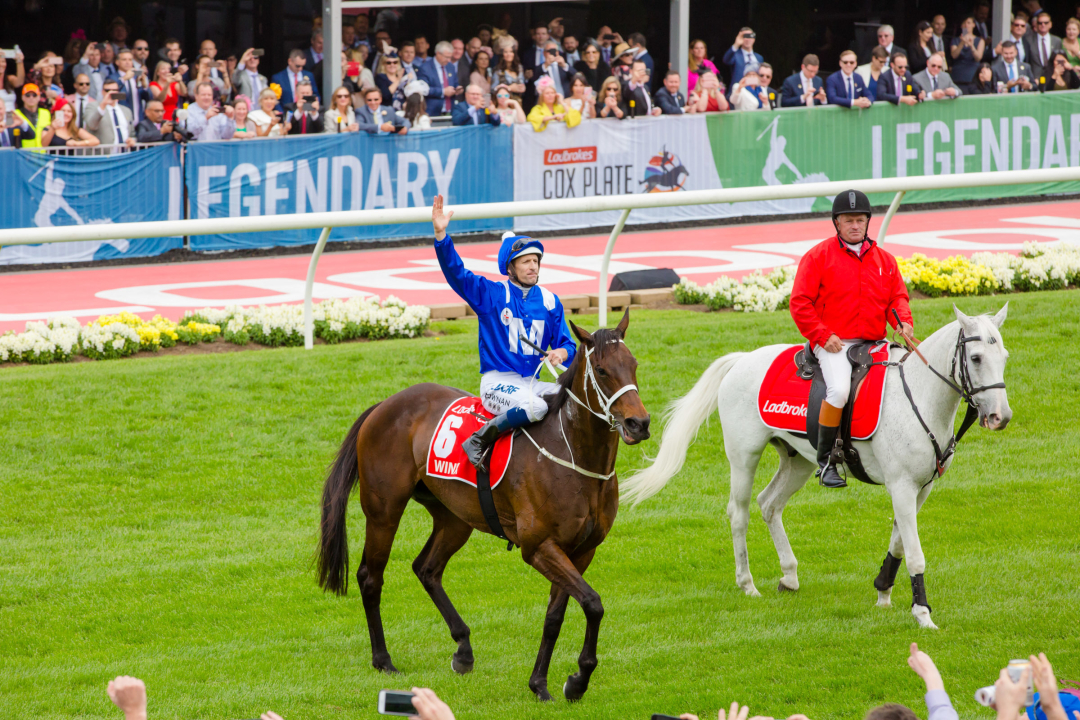 Winx filly sells for Australian record $10 million