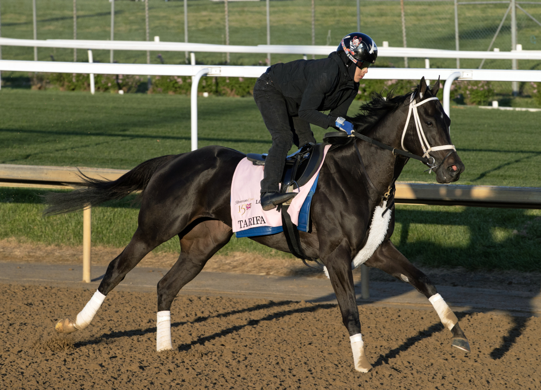 Kentucky Oaks draw: Tarifa favored from post 8