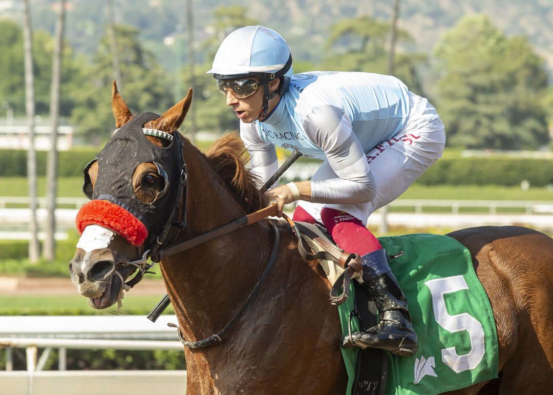 Miss Lizzy goes last to first in Mizdirection Stakes