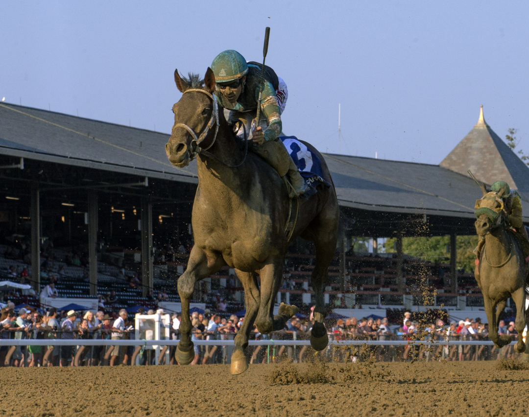 Nutella Fella, Becky's Joker tune up for 3-year-old debuts