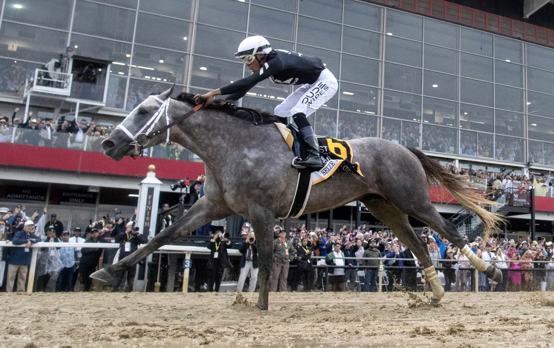 Preakness: Seize the Grey leads all the way; Mystik Dan second