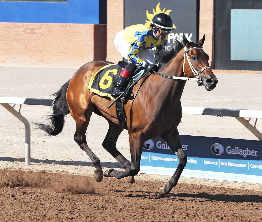 Road warrior Flying Connection hits town in top form for the Bed o' Roses