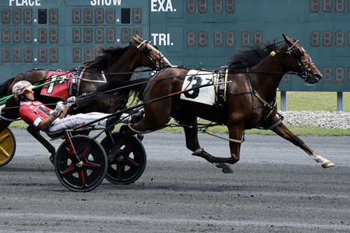Delaware County Fair: A dozen enter Wednesday's Jugette