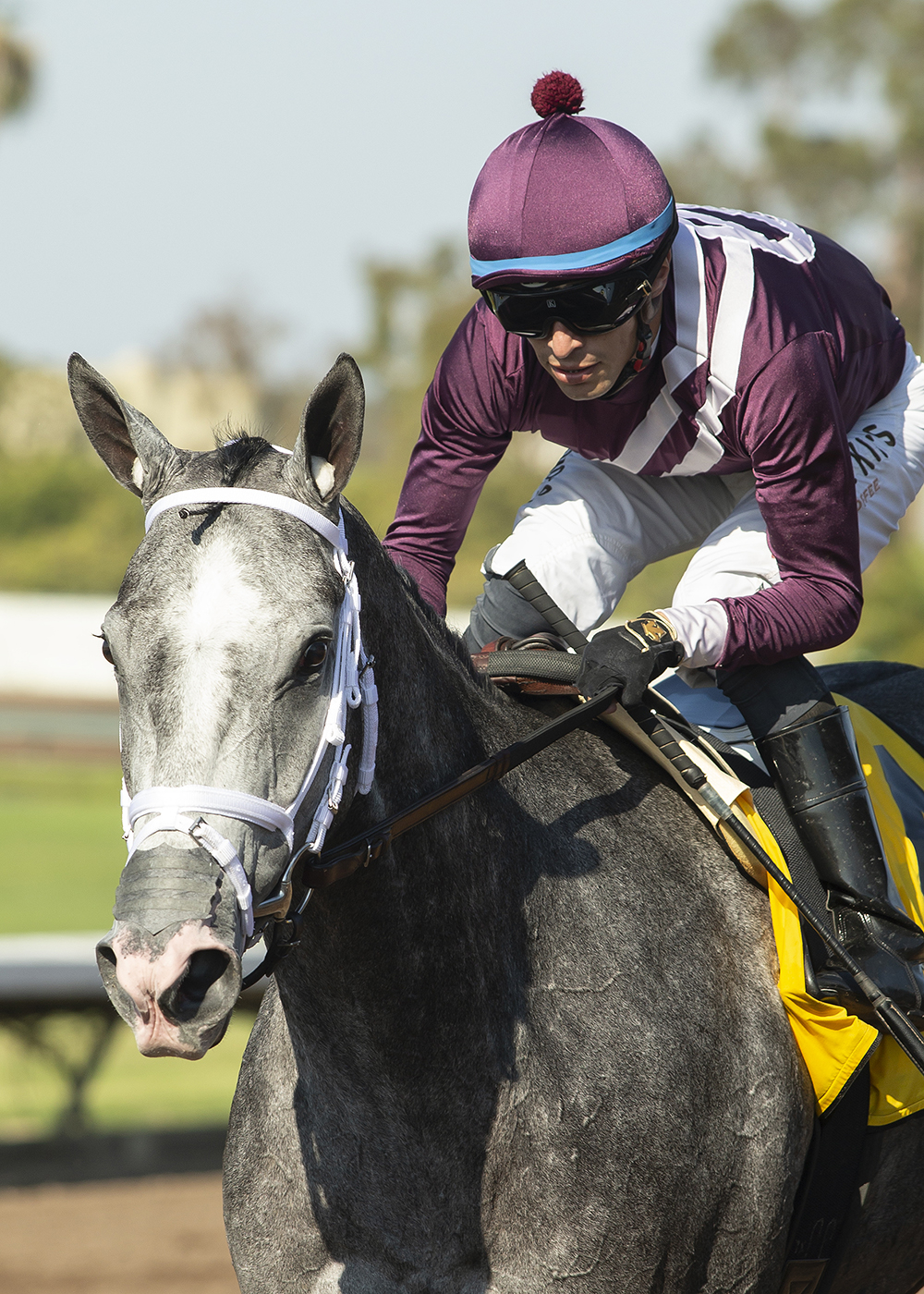 Sweet Azteca, after Great Lady M. triumph, may target Ballerina