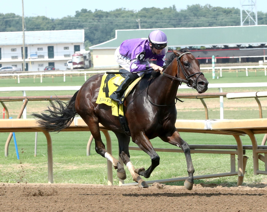 Your So Sillea makes a joke out of Twin Bridges Stakes