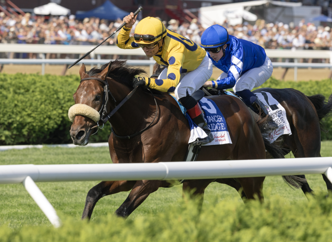 Far Bridge prevails in Sword Dancer, gains berth in BC Turf