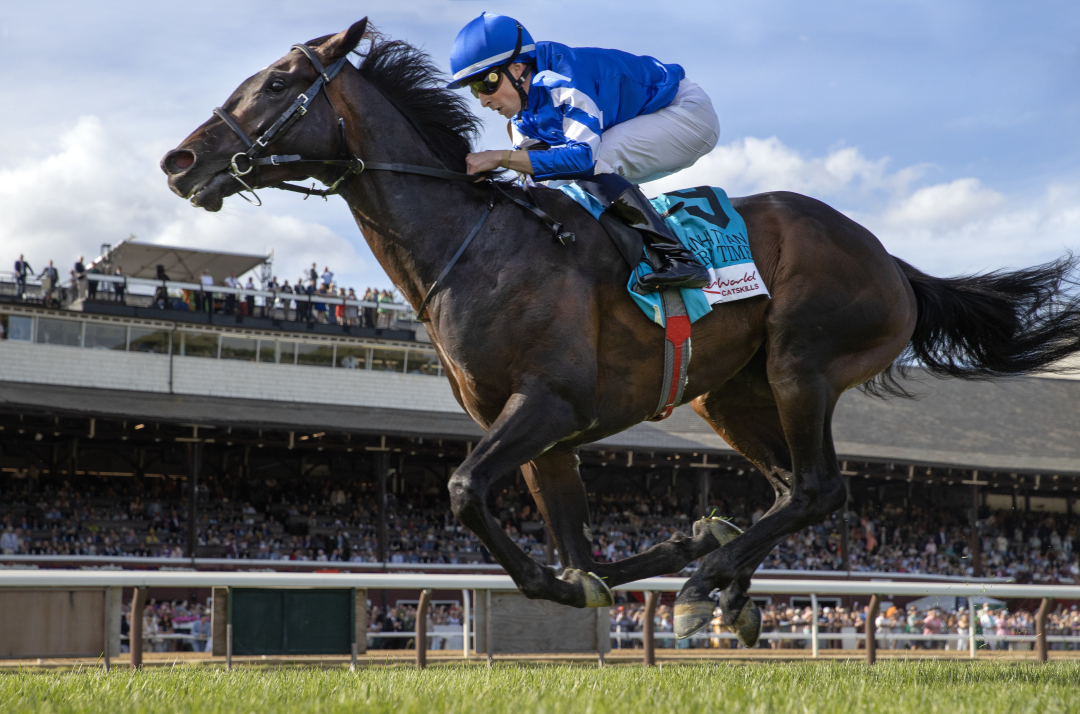 Measured Time, Silver Knott pack powerful 1-2 punch in Sword Dancer