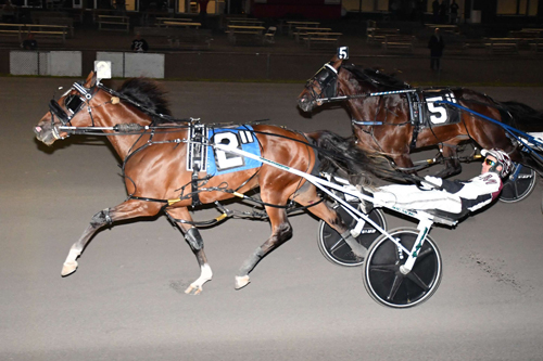 Vernon: Fast Choice prevails again in New York Sire Stakes