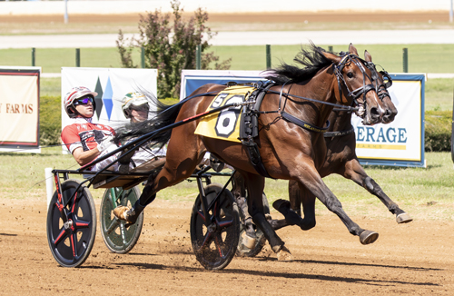 Red Mile: National season's mark for Luna Lovegood in KY Championship ...