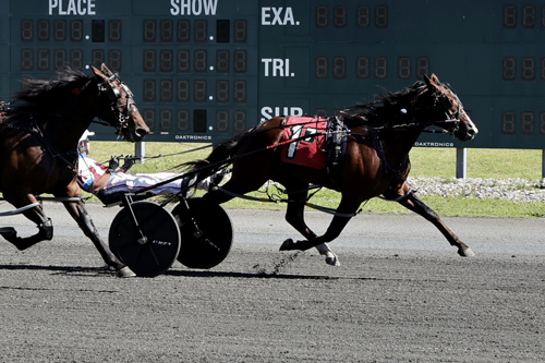 Harrah's Philadelphia: New PA Stallion Series standards set in ...