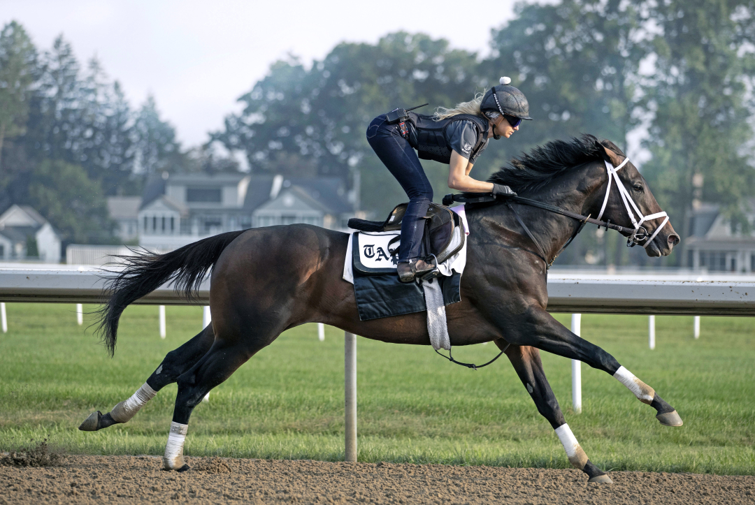 Pletcher assistant Amelia Green to go out on her own