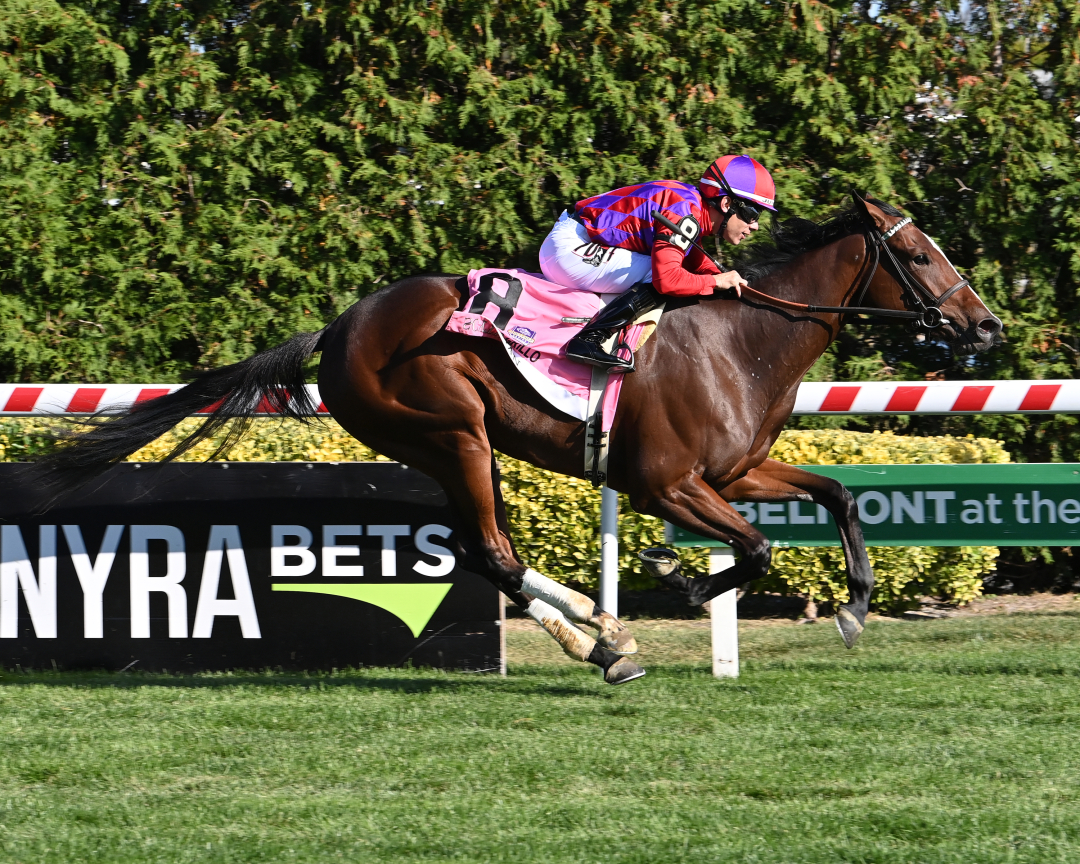 Mott's luck changes as Scythian prevails in Miss Grillo