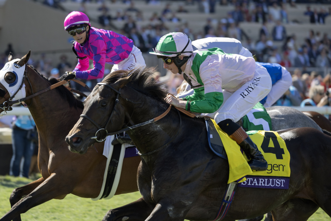 Breeders' Cup Turf Sprint: Starlust ($69.20) shines bright