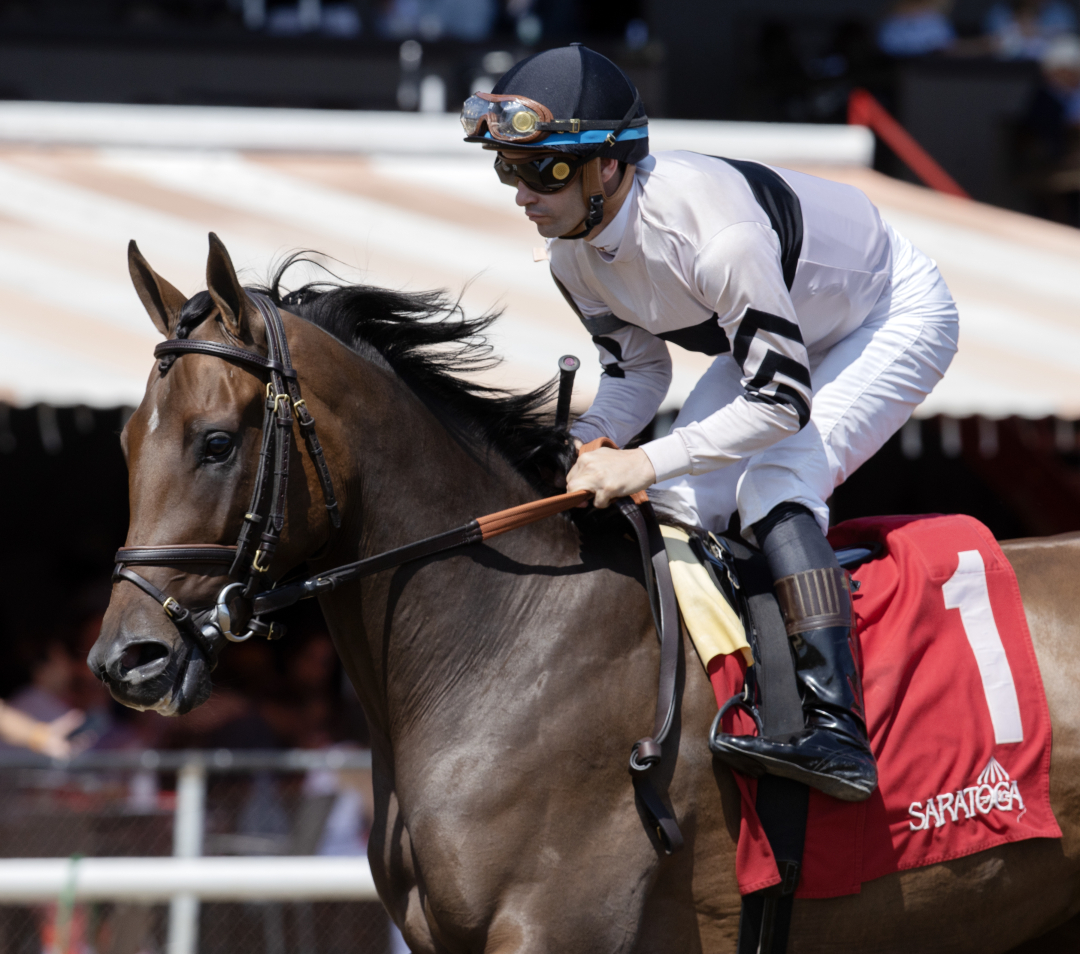 Dolomite gets restarted in competitive allowance