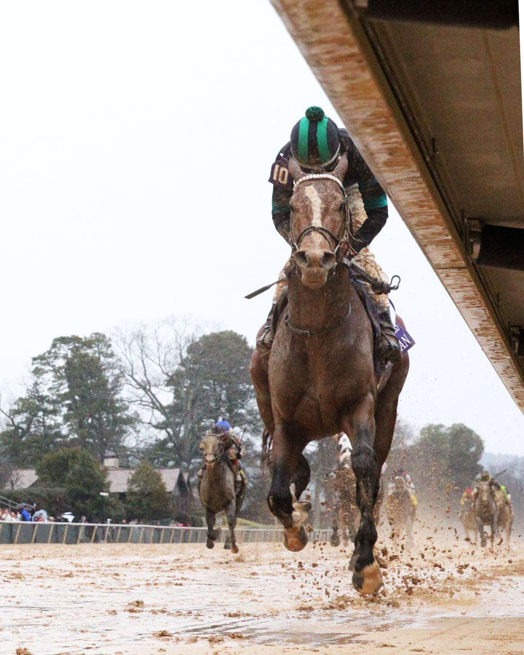 After Mystik Dan, Southwest looks to retain Derby clout