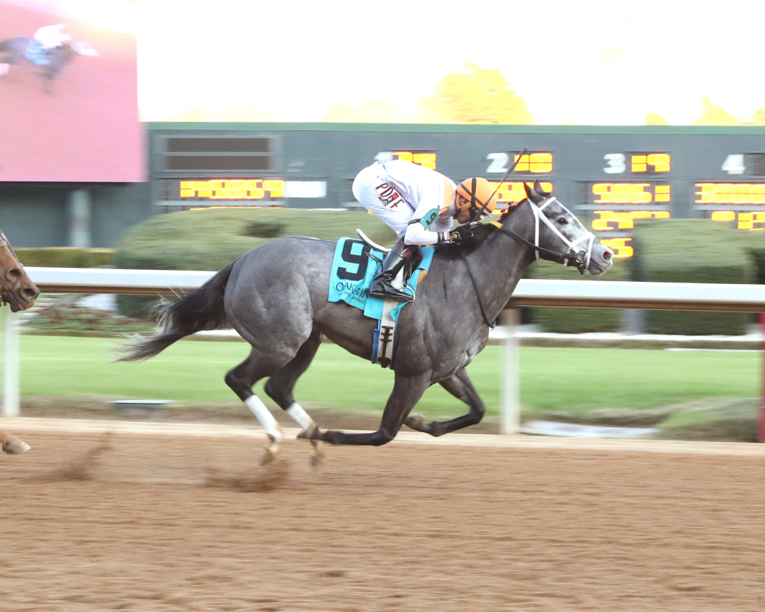 Haulin Ice carries award-winning momentum in Downthedustyroad