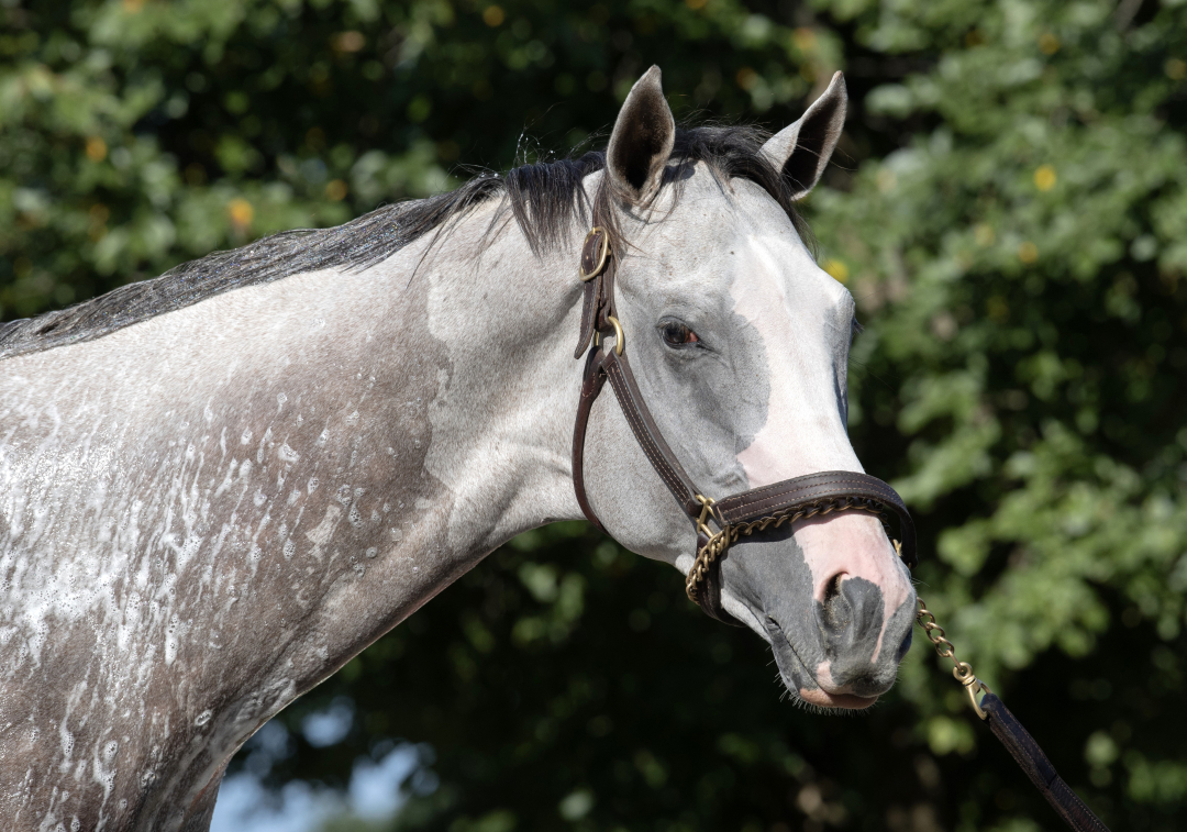 Rebel draws extremely deep cast; Sandman gets chance to shine