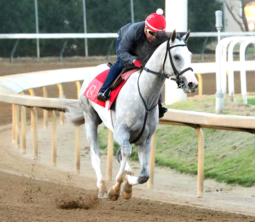 Kentucky Derby 2025: Sandman, Coal Battle work in different styles