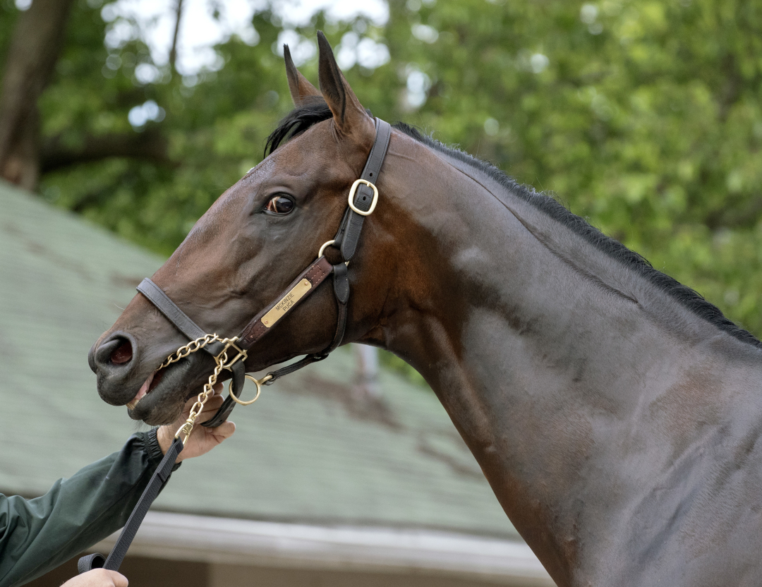 Kentucky Derby 2025: Baeza into race after Rodriguez scratch