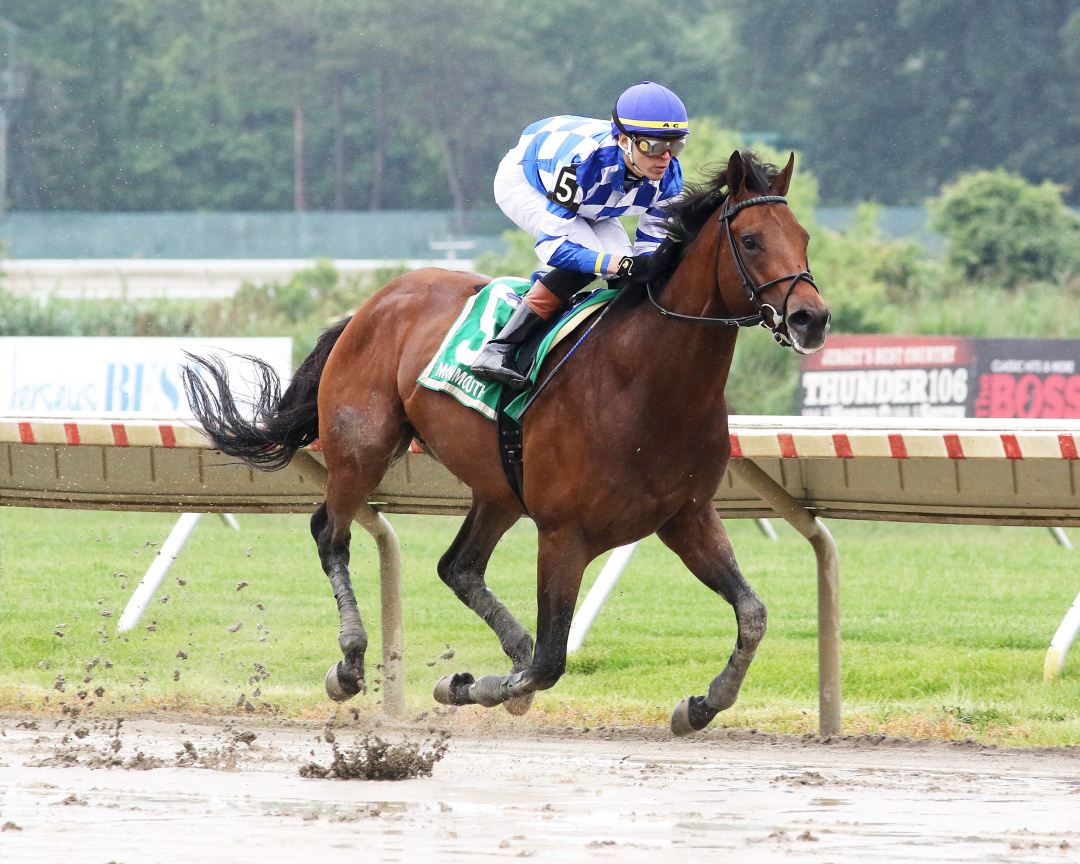 Bracket Buster destroys rivals in Pegasus triumph