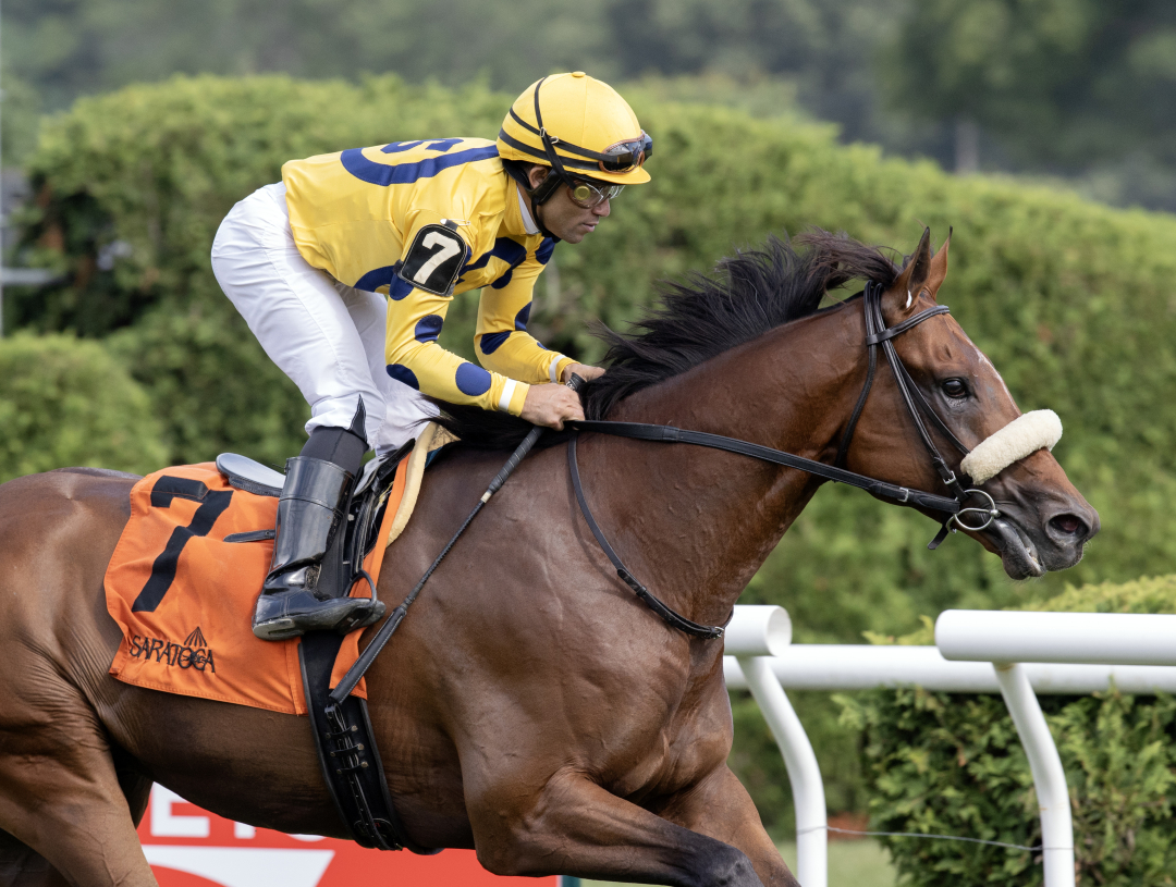 Far Bridge targets Sword Dancer as next start