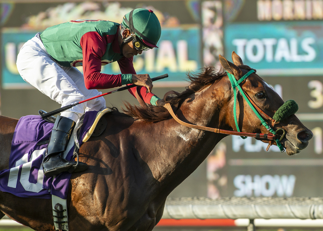 Grand Slam Smile has McCarthy grinning ear to ear ahead of Solana Beach