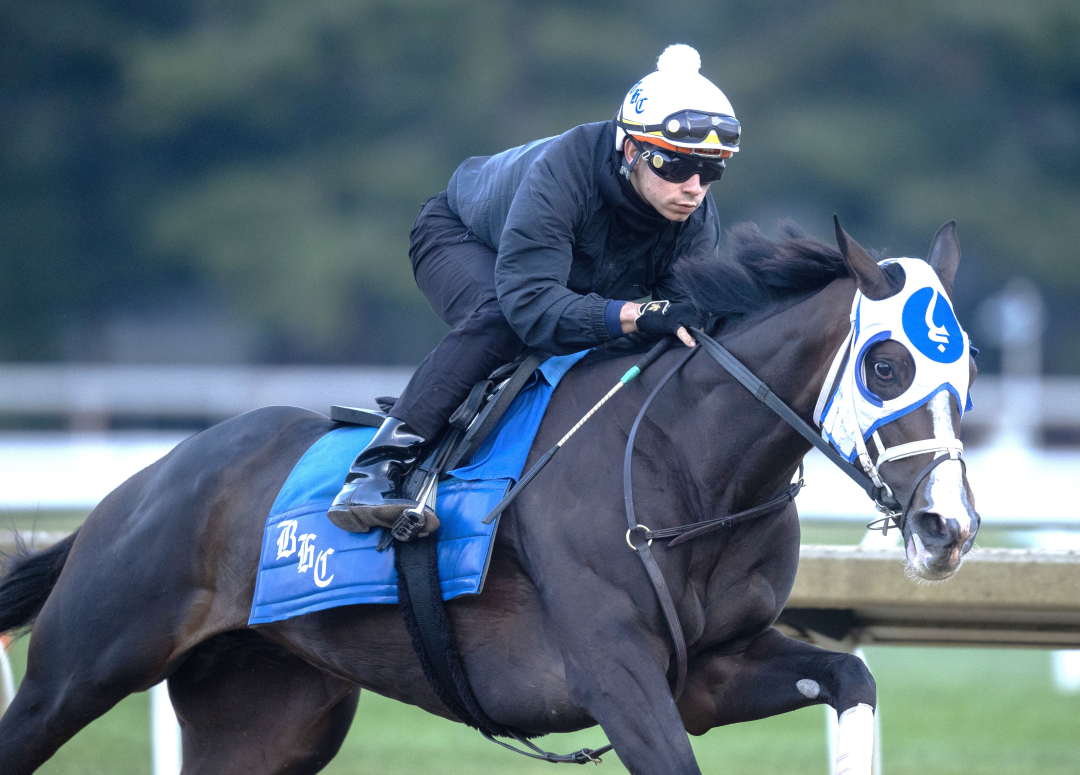 Following two losses, Cotillion is do-or-die race for Good Cheer