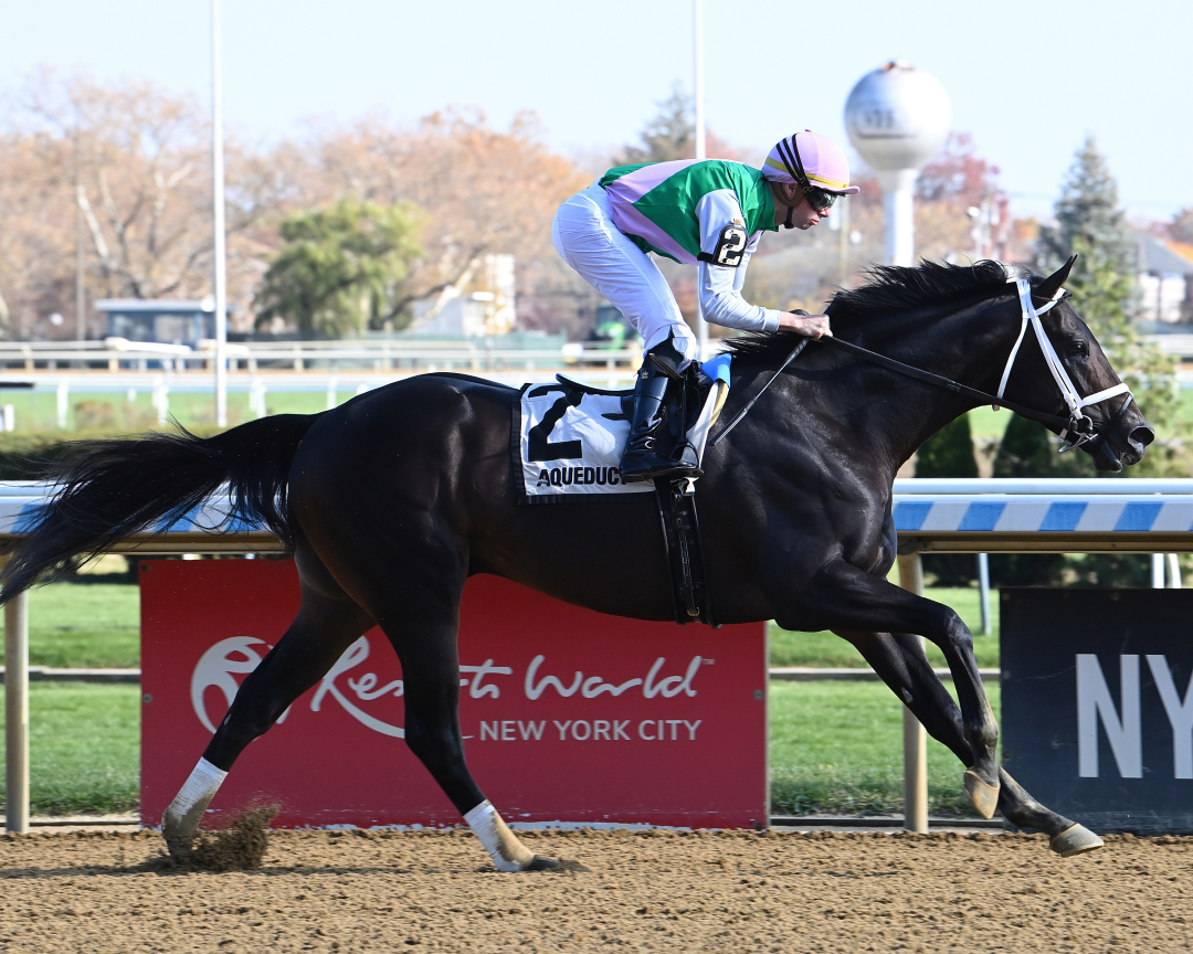 Disco Time's next race could be Saudi Cup