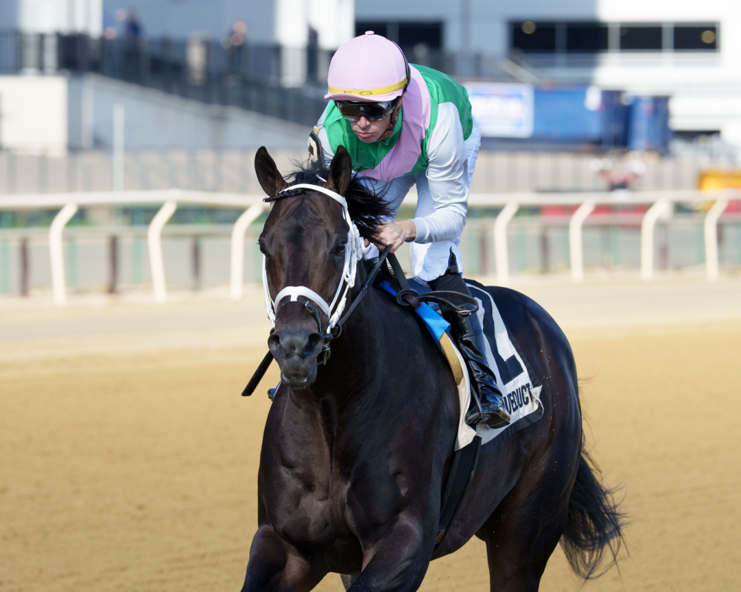 Disco Time boogies to impressive victory in Dwyer