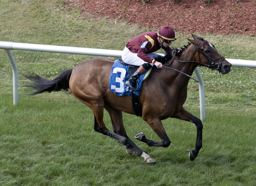 Way to Be Marie tries three turns for the first time in the Long Island