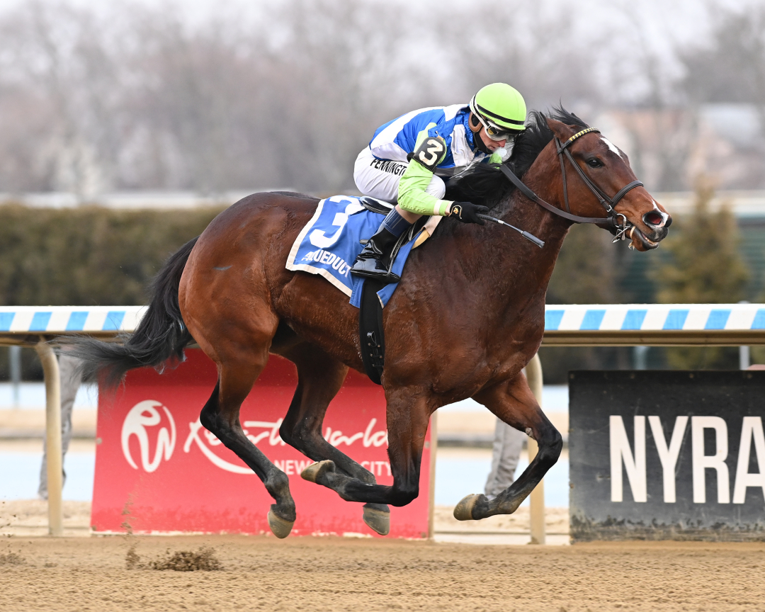 Ward looks to stay red hot with Landed in Bay Ridge