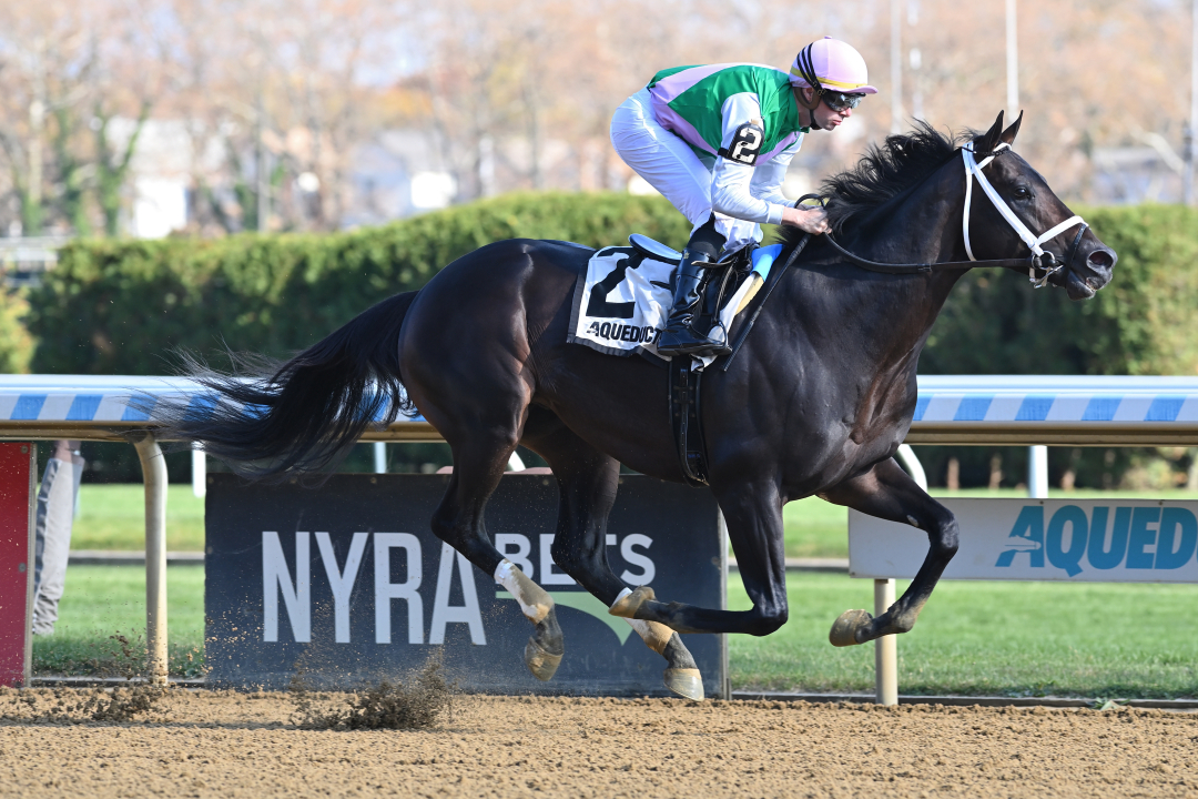 Disco Time, Tappan Street get good position in Pegasus World Cup draw