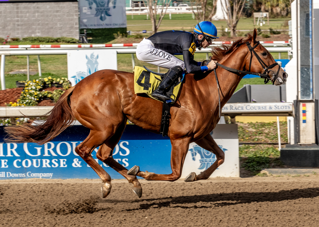 Little Miss Curlin dominates filly division of Louisiana Futurity; Mor ...