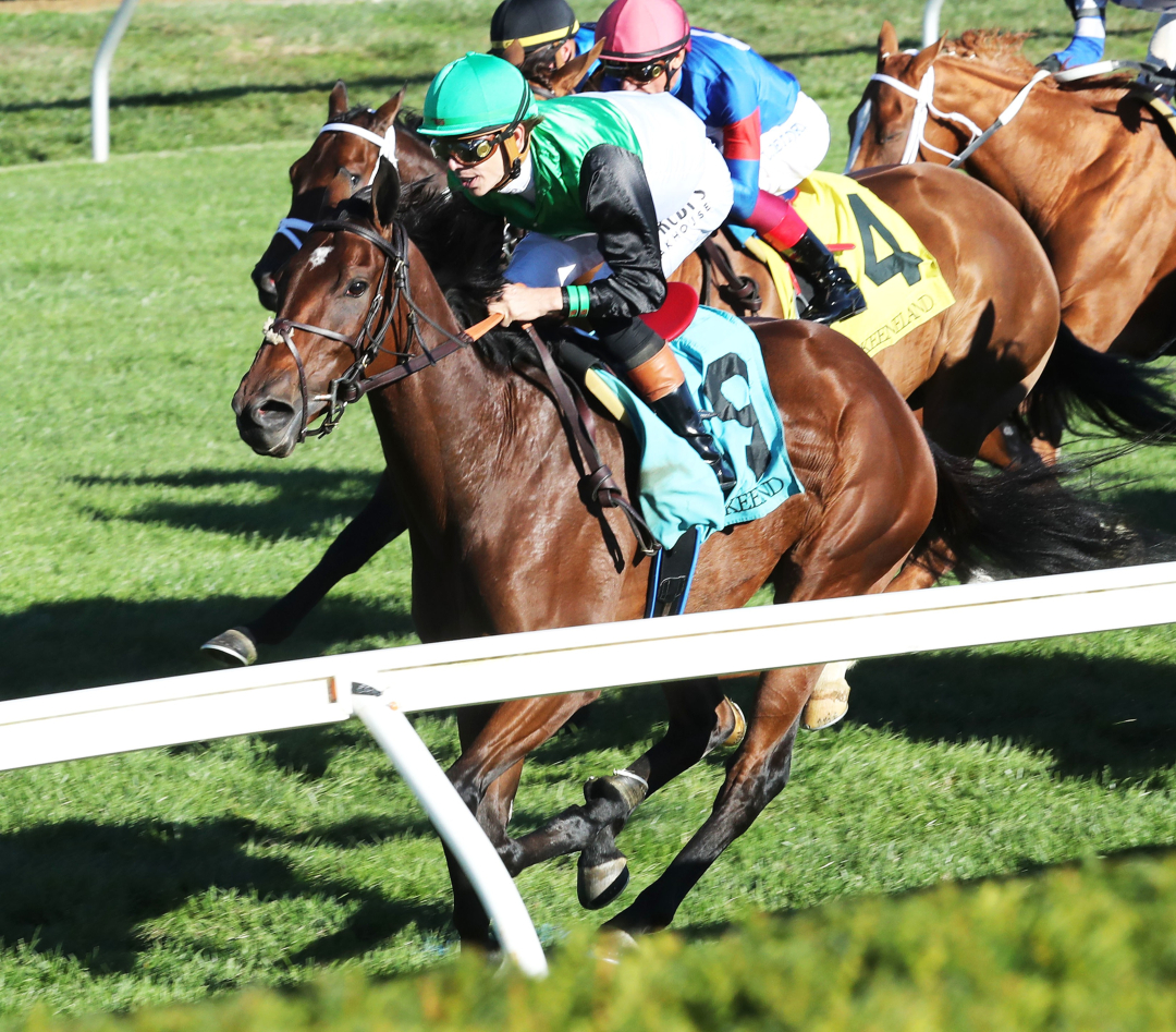 Weekend GamePlan: Picks for Pegasus Filly and Mare Turf, Christophe ...