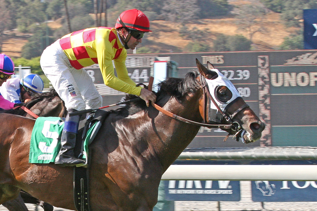 California Stallions 2024: Grazen instantly puts Eclipse in upper echelon