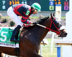 Belterra Park Racetrack: Live Horse Racing News & Schedule