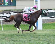 Belterra Park Racetrack: Live Horse Racing News & Schedule