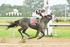 Thistledown Racetrack Picks, Live Horse Racing Schedule, & News