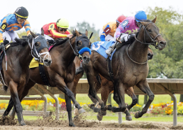 Finger Lakes Race Track Picks, Live Horse Racing Schedule, & News